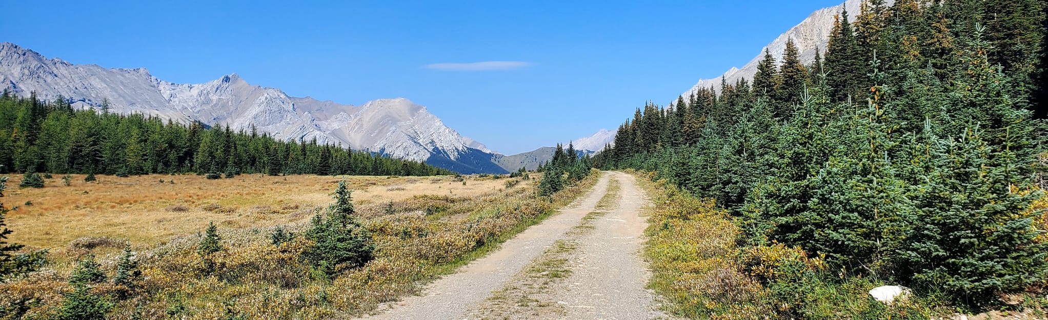 Little Elbow Trail: 50 Reviews, Map - Alberta, Canada | AllTrails
