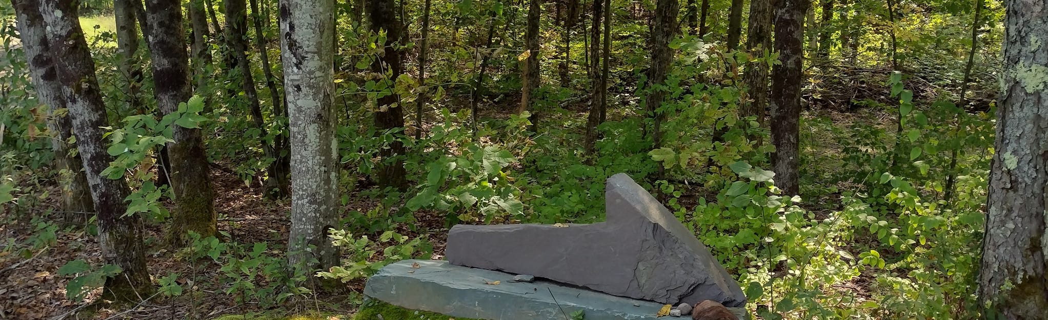 Slate Valley Trails - Big Top to Ringmaster, Vermont - 18 Reviews, Map ...