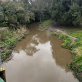 Merri Creek Trail, Victoria, Australia - 151 Reviews, Map | AllTrails