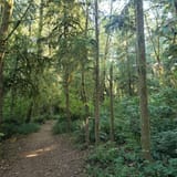 Weatherwax Trail, Washington - 245 Reviews, Map | AllTrails