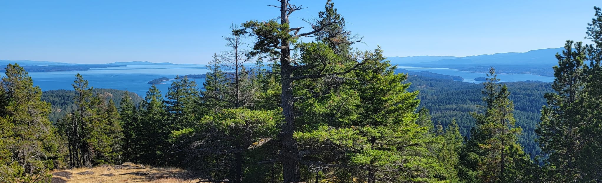 Beeches Mountain and Chinese Mountains Loop: 33 Reviews, 153 Photos ...