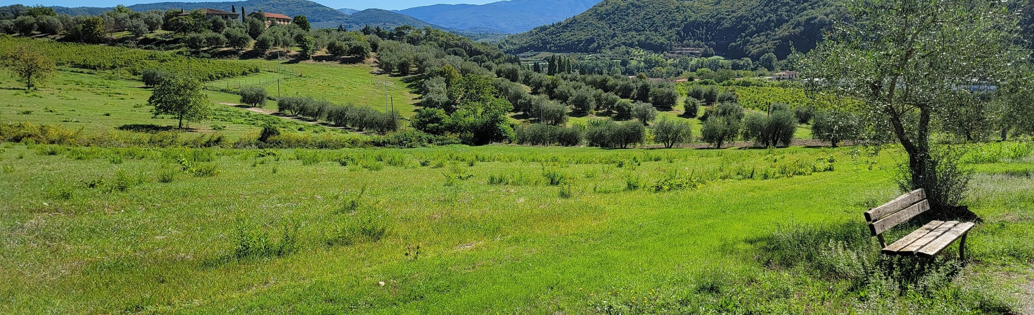 Florence - Pontassieve, Tuscany, Italy - 28 Reviews, Map | AllTrails