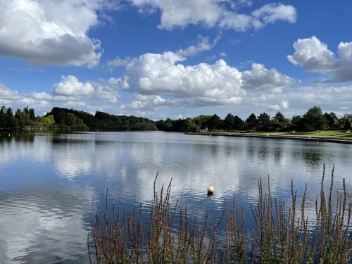 Best 10 Hikes and Trails in Scarpe-Escaut Regional Nature Park | AllTrails