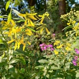 Windolph Landing Preserve Trail, Pennsylvania - 95 Reviews, Map | AllTrails