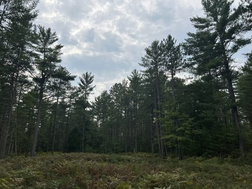 Best Hikes and Trails in Crooked River Forest Preserve - Intervale ...