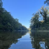 Goat Bluff Trail, Arkansas - 119 Reviews, Map | AllTrails