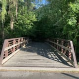 Waterfall Loop Trail, Michigan - 241 Reviews, Map | AllTrails