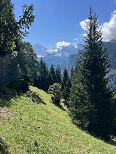 10 Best Trails and Hikes in Wengen | AllTrails