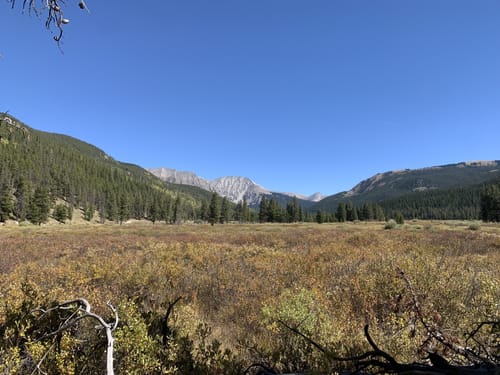 Best Hikes and Trails in Taylor Park | AllTrails