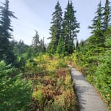 Picture Lake Path, Washington - 236 Reviews, Map | AllTrails
