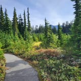 Picture Lake Path, Washington - 236 Reviews, Map | AllTrails