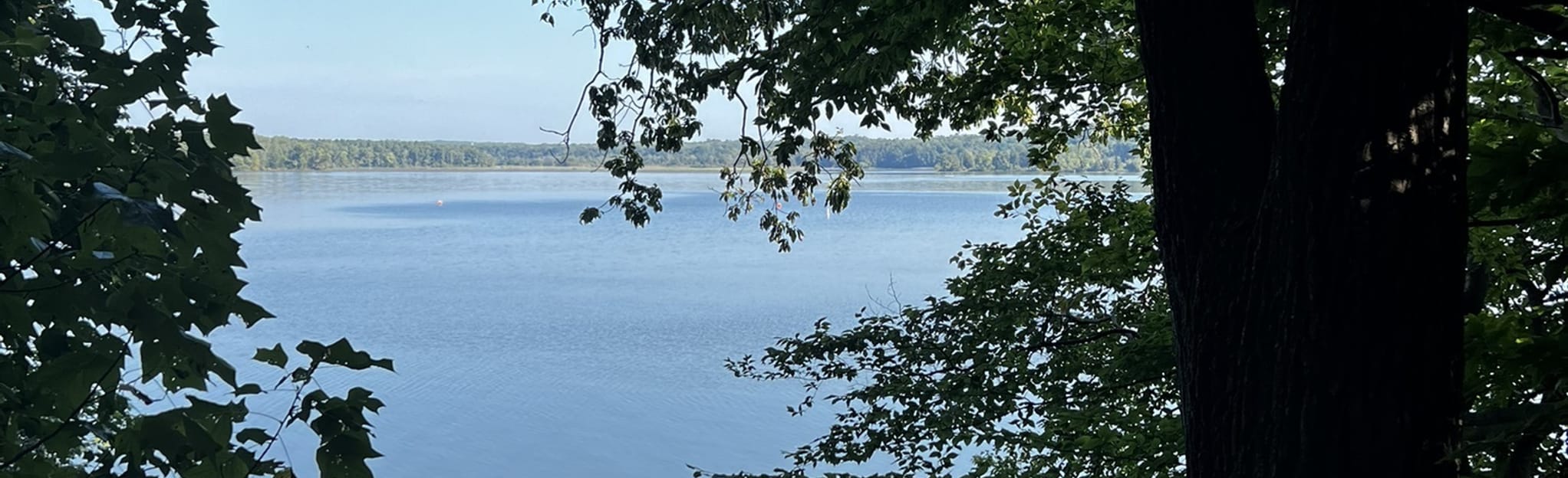 Pohick Bay Yellow and Orange Trail Loop: 25 foto - Virginia | AllTrails