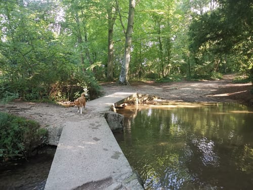 2023 Best Historic Site Trails in Colomby-Anguerny | AllTrails