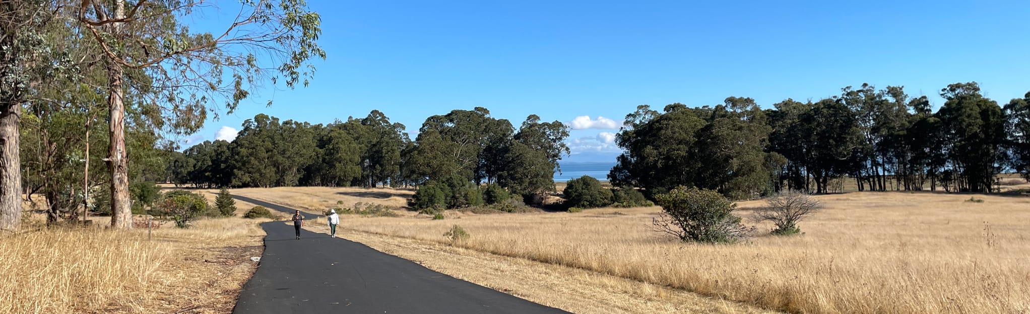 Point Pinole Trail, California - 162 Reviews, Map | AllTrails