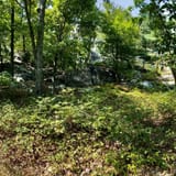 Blueberry, Grave Ridge and Creek Trail Loop , Pennsylvania - 19 Reviews ...