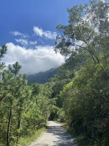 10 Best Hard Trails in Parque Ecológico Chipinque | AllTrails