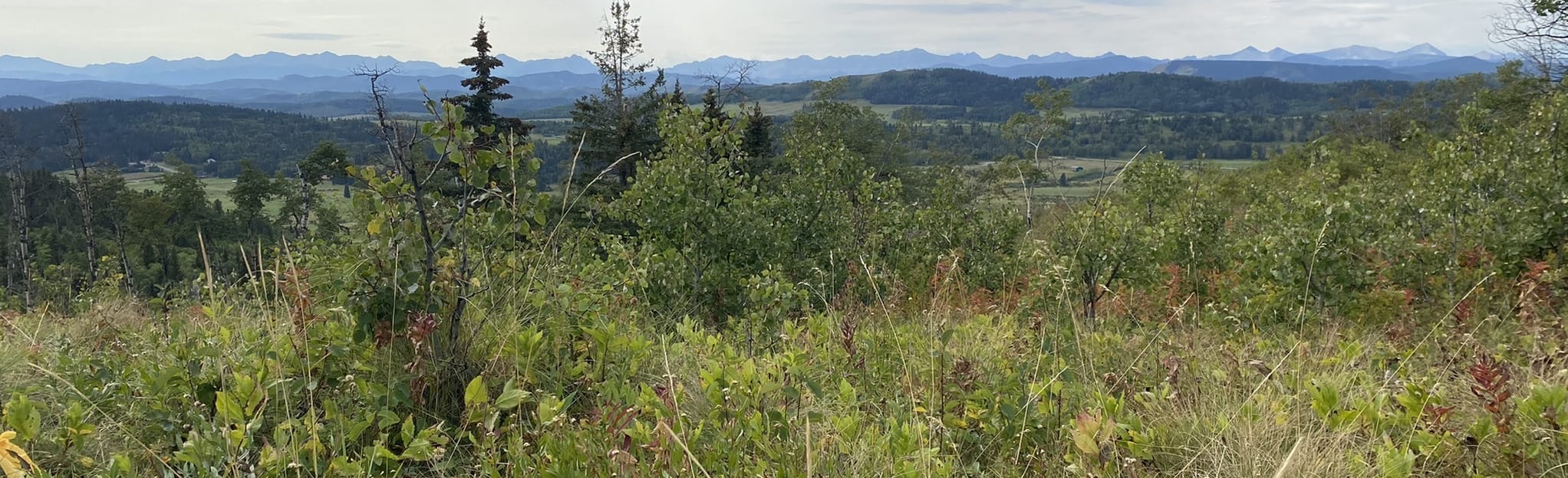 Brown Lowry Old Mill Loop: 264 Reviews, Map - Alberta, Canada | AllTrails