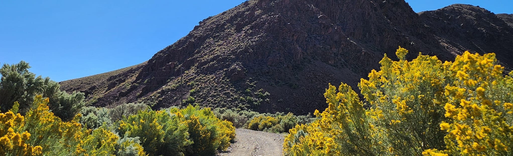 Big Rock Candy Mountain to Barney Lake: 9 foto - Utah | AllTrails