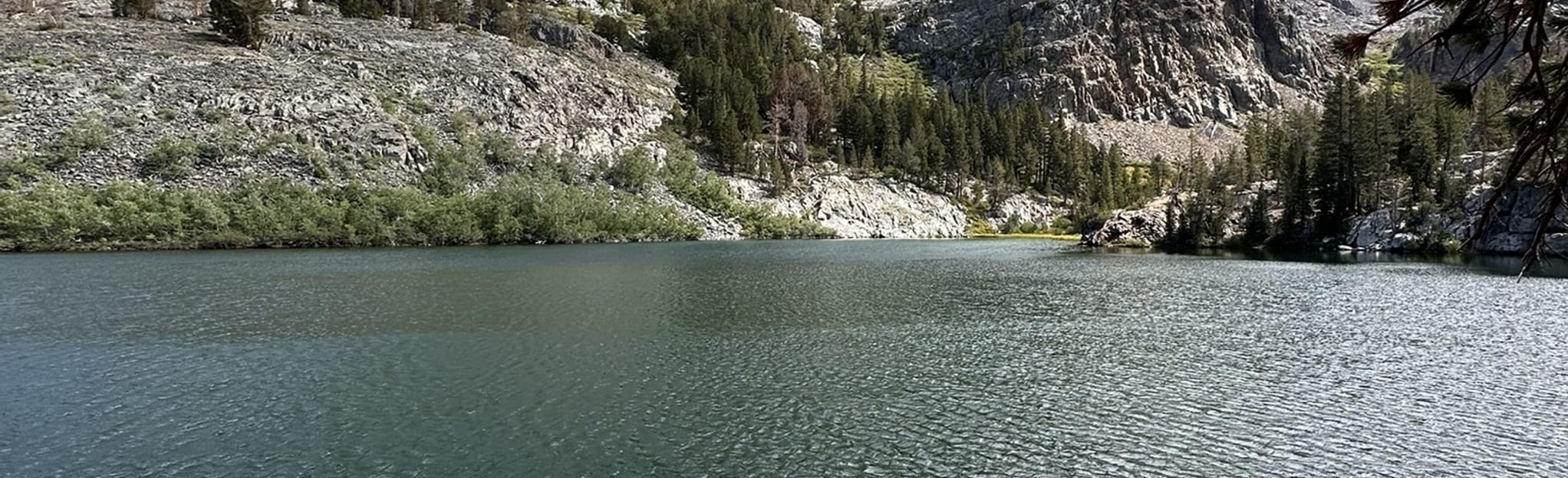 Skelton Lake Loop: 395 Reviews, Map - California | AllTrails