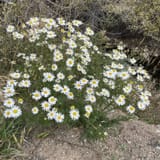 Blue River Rec Path, Colorado - 136 Reviews, Map | AllTrails
