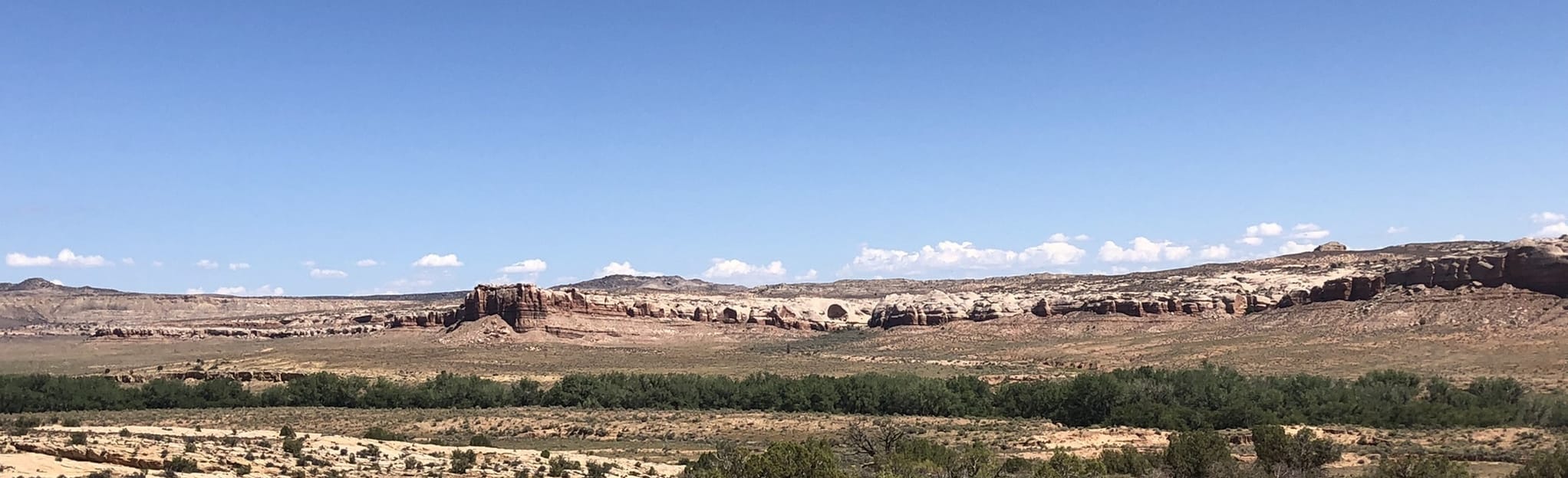 Procession Panel Trail: 185 Reviews, Map - Utah | AllTrails