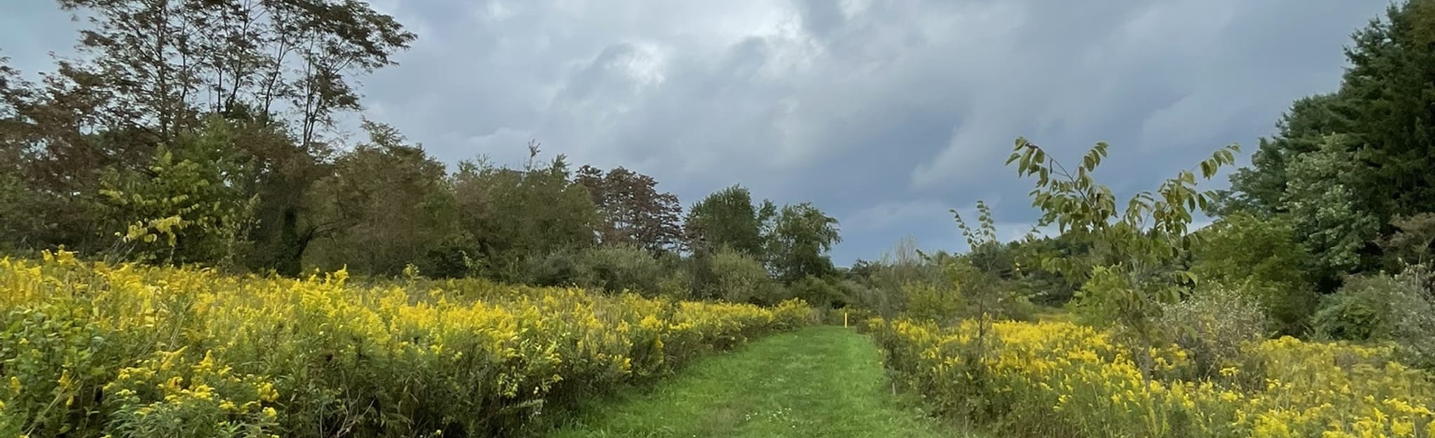 Hellbender Bluff Park Loop, Ohio - 41 Reviews, Map | AllTrails