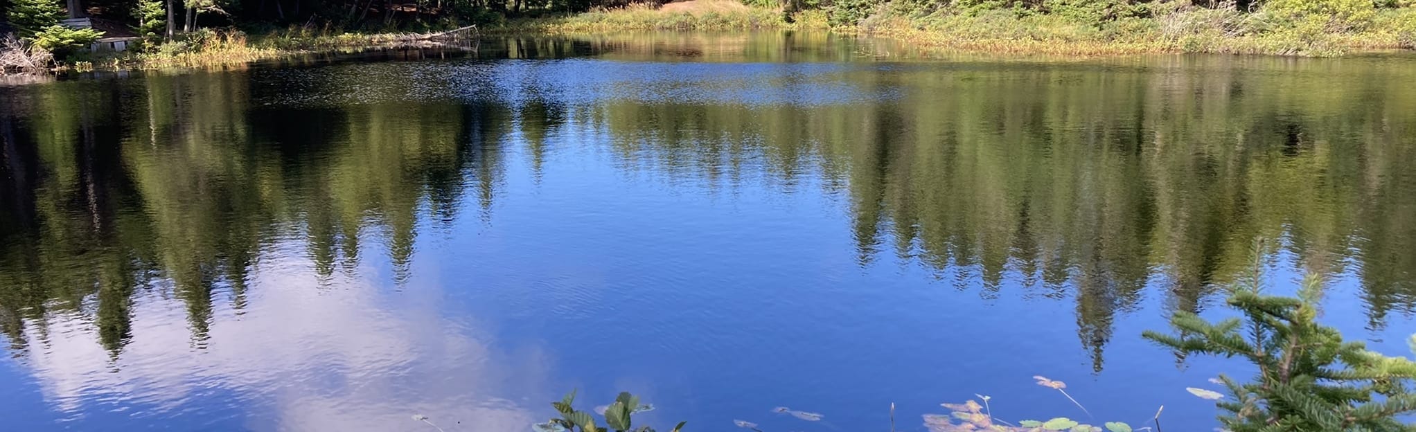 Boucle du Lac Solitaire, Quebec, Canada - 2 Reviews, Map | AllTrails