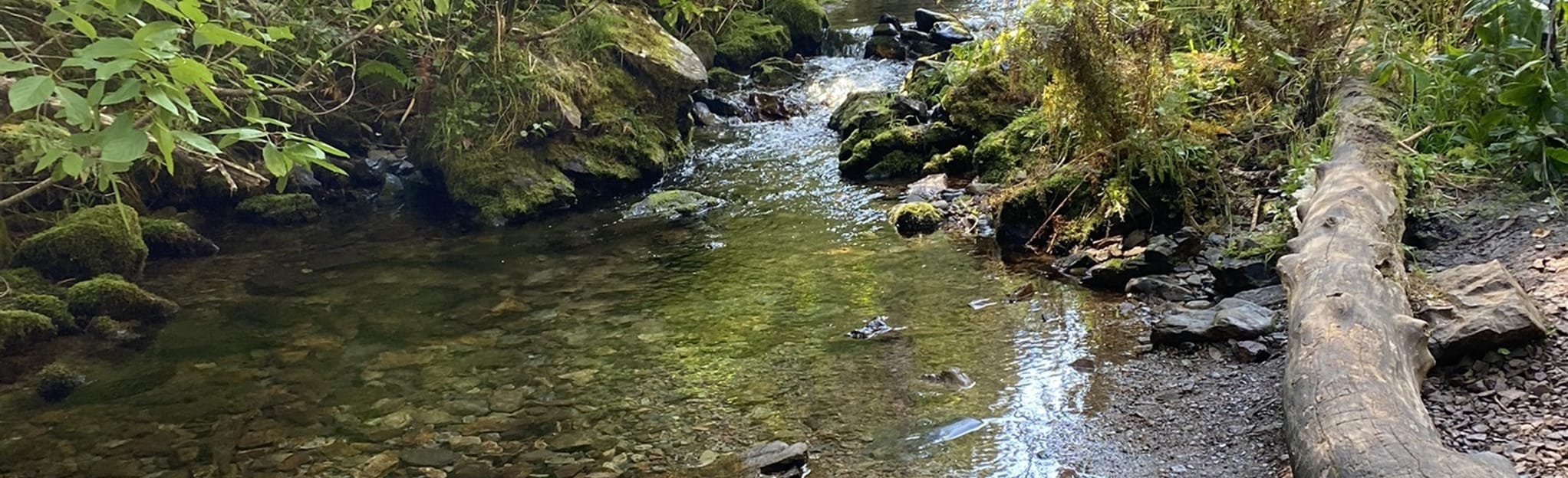 Pulaski Tunnel Trail: 839 Reviews, Map - Idaho | AllTrails