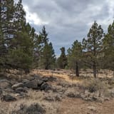 Bizz Johnson Trail, California - 186 Reviews, Map | AllTrails