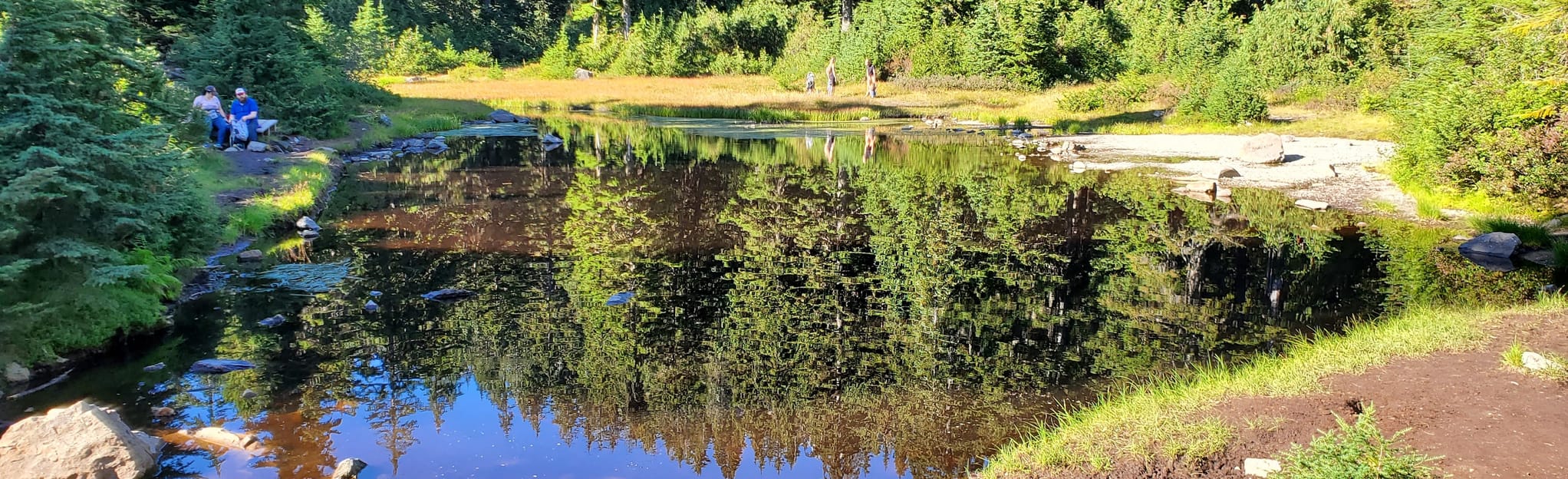 Dinkey Loop | Mapa, Roteiro - British Columbia, Canada | AllTrails