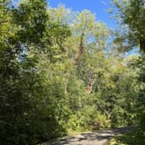 Point Douglas Trail, Minnesota - 257 Reviews, Map | AllTrails