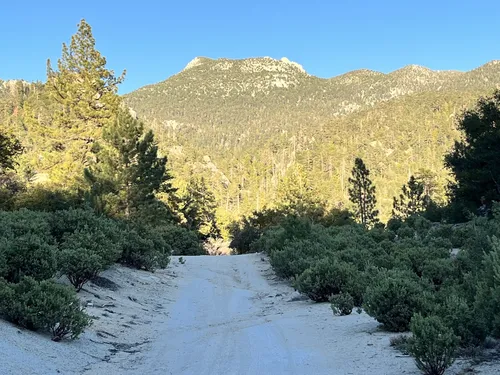 10 Best Camping Trails in Idyllwild-Pine Cove | AllTrails