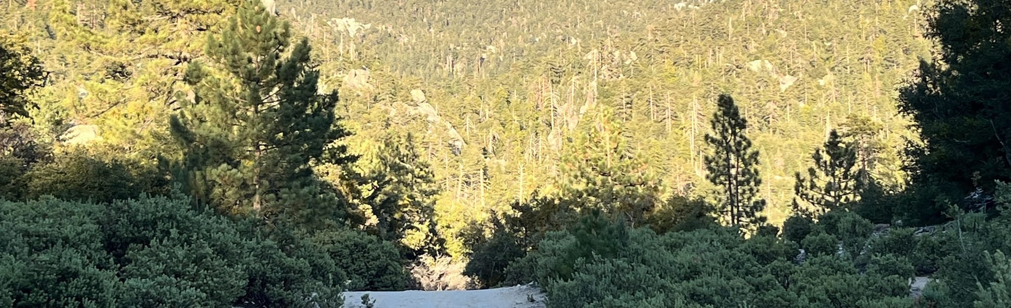 Dark Canyon: 17 Reviews, Map - California | AllTrails