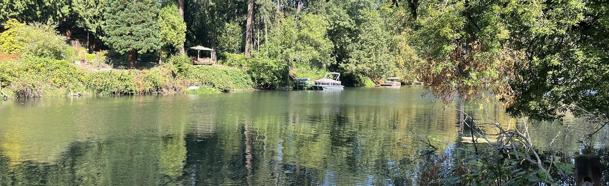 River Loop: 269 Reviews, Map - Oregon | AllTrails