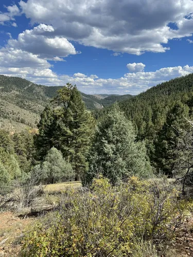 10 Best Trails and Hikes in Conifer | AllTrails