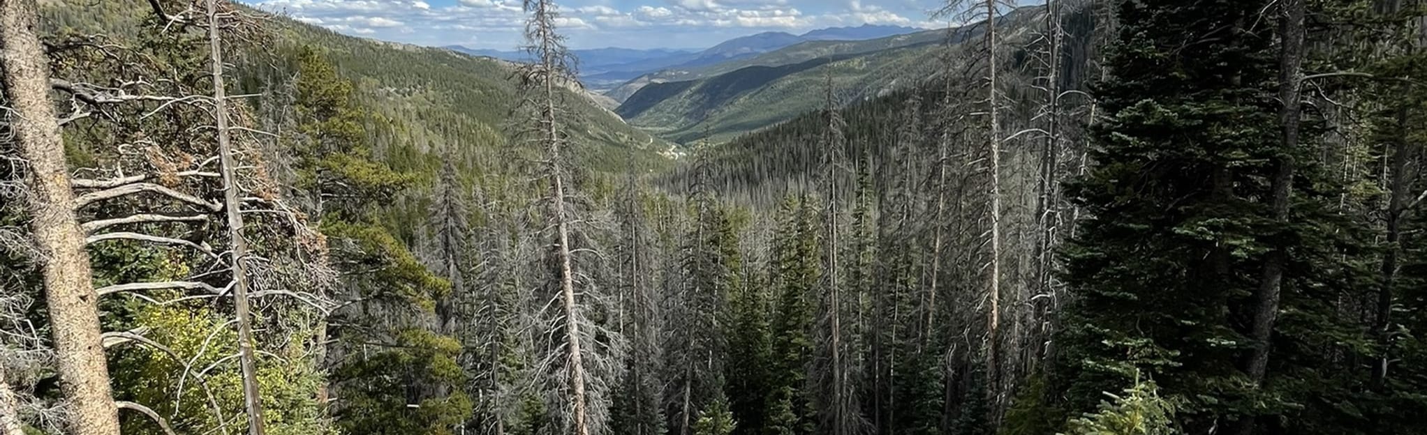 Boss Lake Trail, Colorado - 312 Reviews, Map | AllTrails