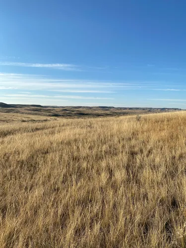 2023 Best 10 Trails, Walks, and Paths in Grasslands National Park ...