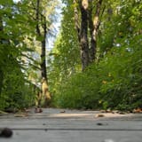 Chambers Creek Trail, Washington - 265 Reviews, Map | AllTrails