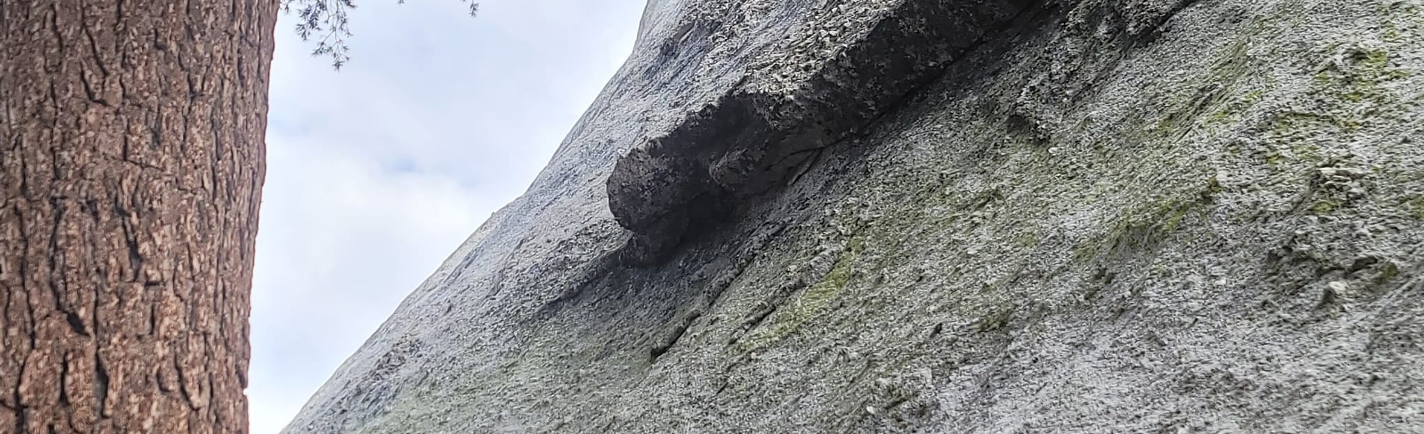 Daff Dome Approach Trail: 2 Reviews, Map - California | AllTrails