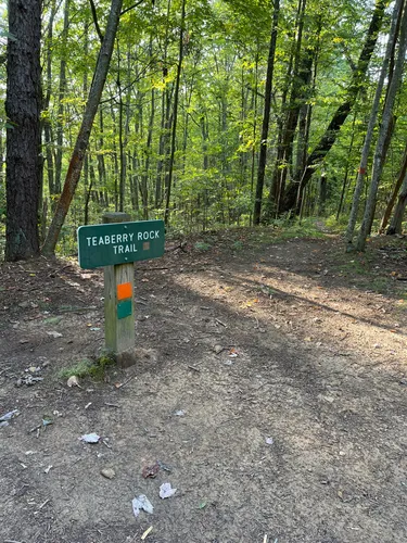 Best 10 Hikes and Trails in Kanawha State Forest | AllTrails