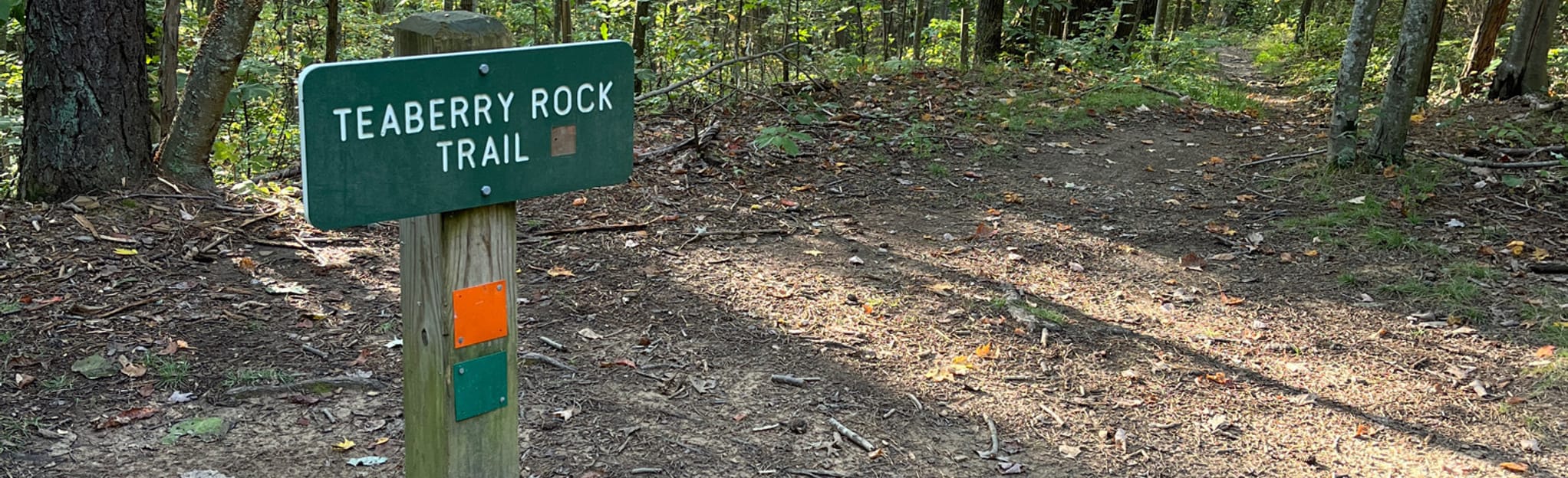 Teaberry Rock Trail, Oak Flats and Crown Jewel: 66 Reviews, Map - West ...