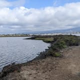 Bay Farm Island Loop Trail, California - 1,013 Reviews, Map | AllTrails