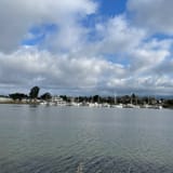 Bay Farm Island Loop Trail, California - 1,013 Reviews, Map | AllTrails