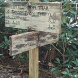 Little River Trail, Tennessee - 407 Reviews, Map | AllTrails