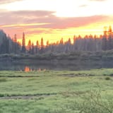 Linton Lake Trail, Oregon - 224 Reviews, Map | AllTrails
