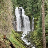 Linton Lake Trail, Oregon - 224 Reviews, Map | AllTrails