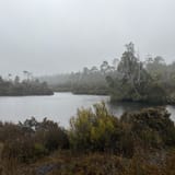 Arm River Track to New Pelion Hut, Tasmania, Australia - 59 Reviews ...