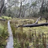 Arm River Track to New Pelion Hut, Tasmania, Australia - 59 Reviews ...
