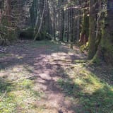 Angora Peak, Oregon - 389 Reviews, Map | AllTrails