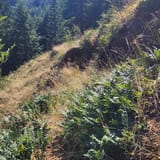 Angora Peak, Oregon - 389 Reviews, Map | AllTrails